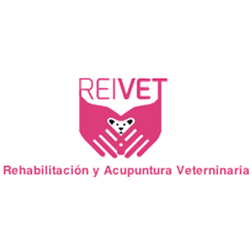 Reivet, Rehabilitación y Acupuntura Veterinaria invertiaWeb